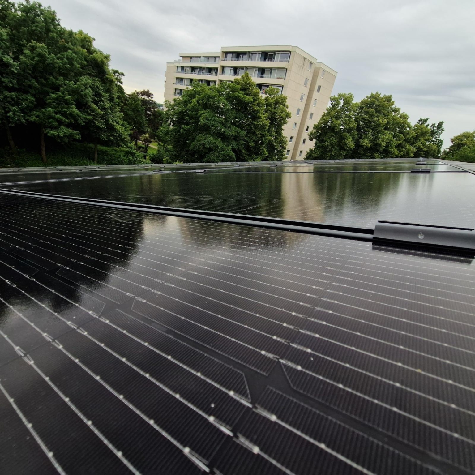 Ärgerlich! – tscu.de